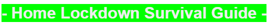 Home Lockdown Survival Guide